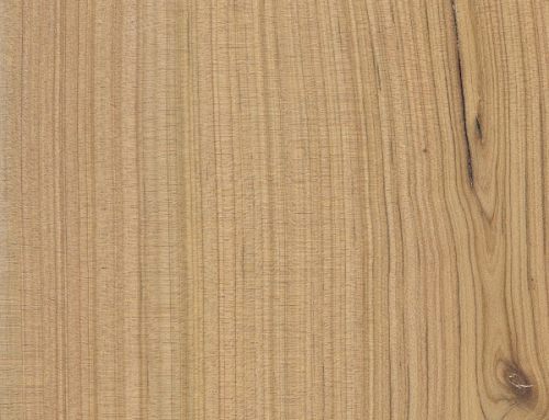 Eastern White Pine | The Wood Database - Lumber Identification (Softwood) Eastern White Pine | The Wood Database - Lumber Identification (Softwood)