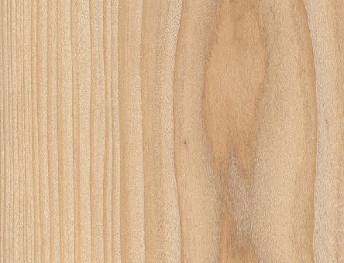 Eastern White Pine | The Wood Database - Lumber Identification (Softwood) Eastern White Pine | The Wood Database - Lumber Identification (Softwood)