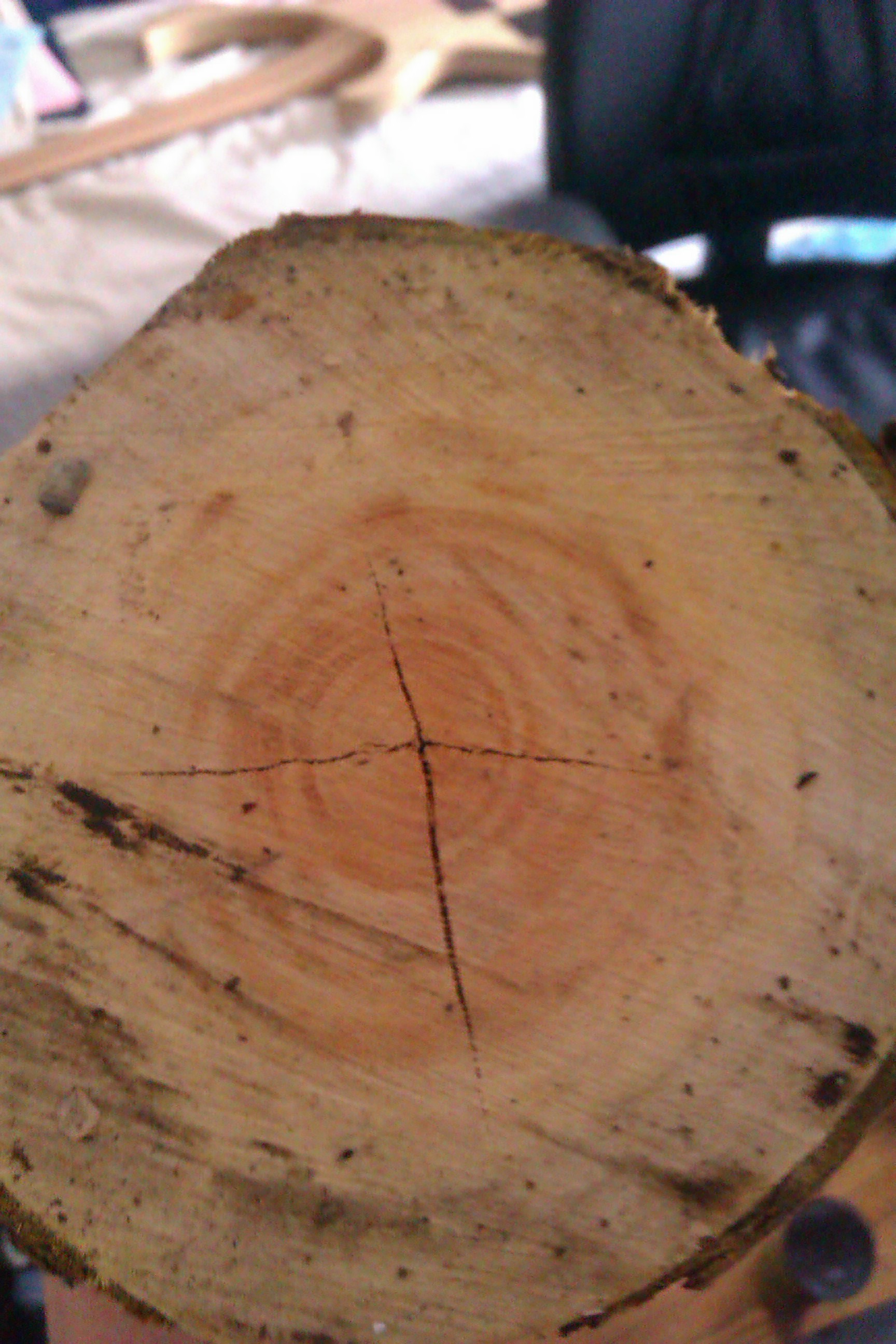 The Periodic Table of Wood poster | The Wood Database