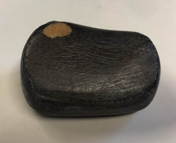 Tagua Nut | The Wood Database - Lumber Identification (Monocot)