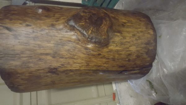 Wood Identification Guide | The Wood Database