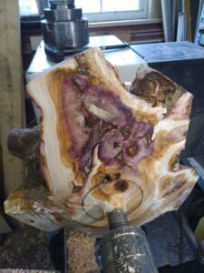 European Yew | The Wood Database (Softwood)