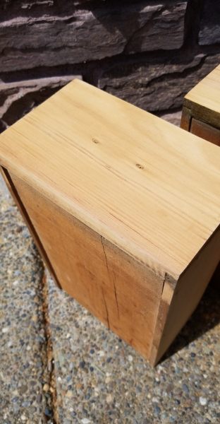 Wood Identification Guide | The Wood Database