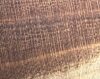 Cuban Mahogany | The Wood Database (Hardwood)