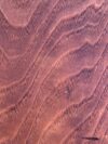 Hardwood Anatomy | The Wood Database