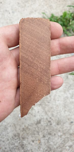 Wood Identification Guide | The Wood Database