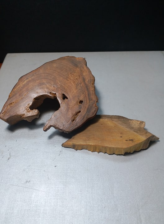 Fluorescence: A Secret Weapon in Wood Identification | The Wood Database