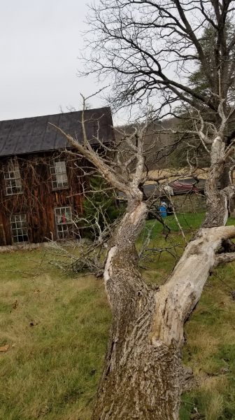 Drying Wood at Home | The Wood Database