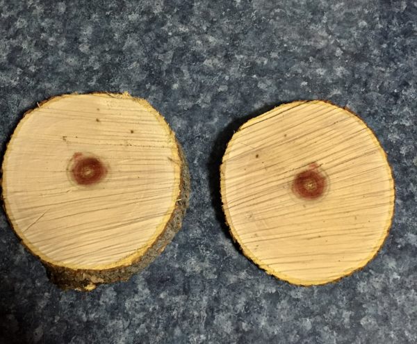 Wood Identification Guide | The Wood Database