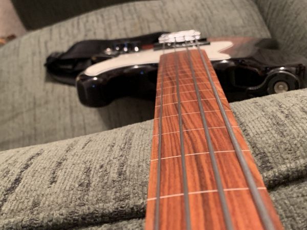 Pau Ferro | The Wood Database - Lumber Identification (Hardwood)