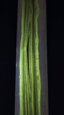 Fluorescence: A Secret Weapon in Wood Identification | The Wood Database