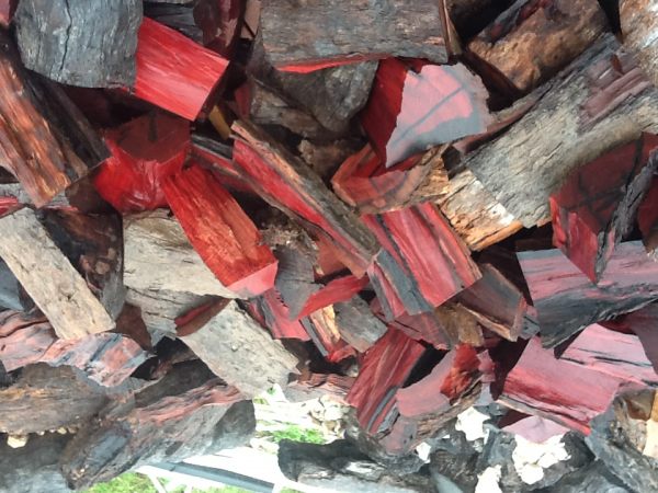 Redheart | The Wood Database - Lumber Identification (Hardwood)