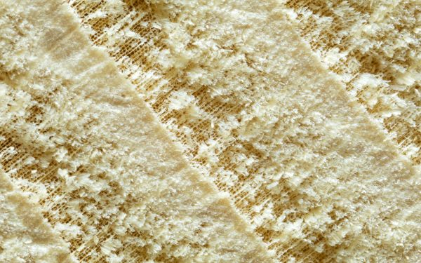 European Silver Fir | The Wood Database - Lumber Identification (Softwood)