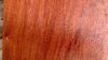 Bloodwood | The Wood Database (Hardwood)