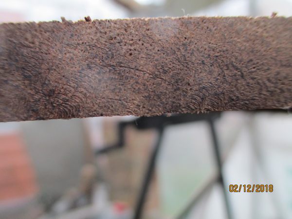 Wood Identification Guide | The Wood Database