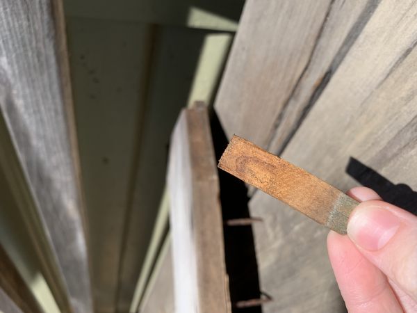 Wood Identification Guide | The Wood Database