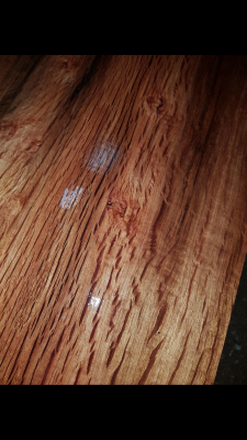 Australian Buloke | The Wood Database - Lumber Identification (Hardwood)