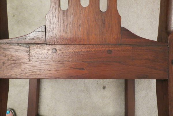 Hardwood Anatomy | The Wood Database