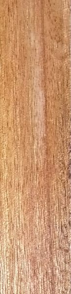 Indian Laurel | The Wood Database - Lumber Identification (Hardwood)