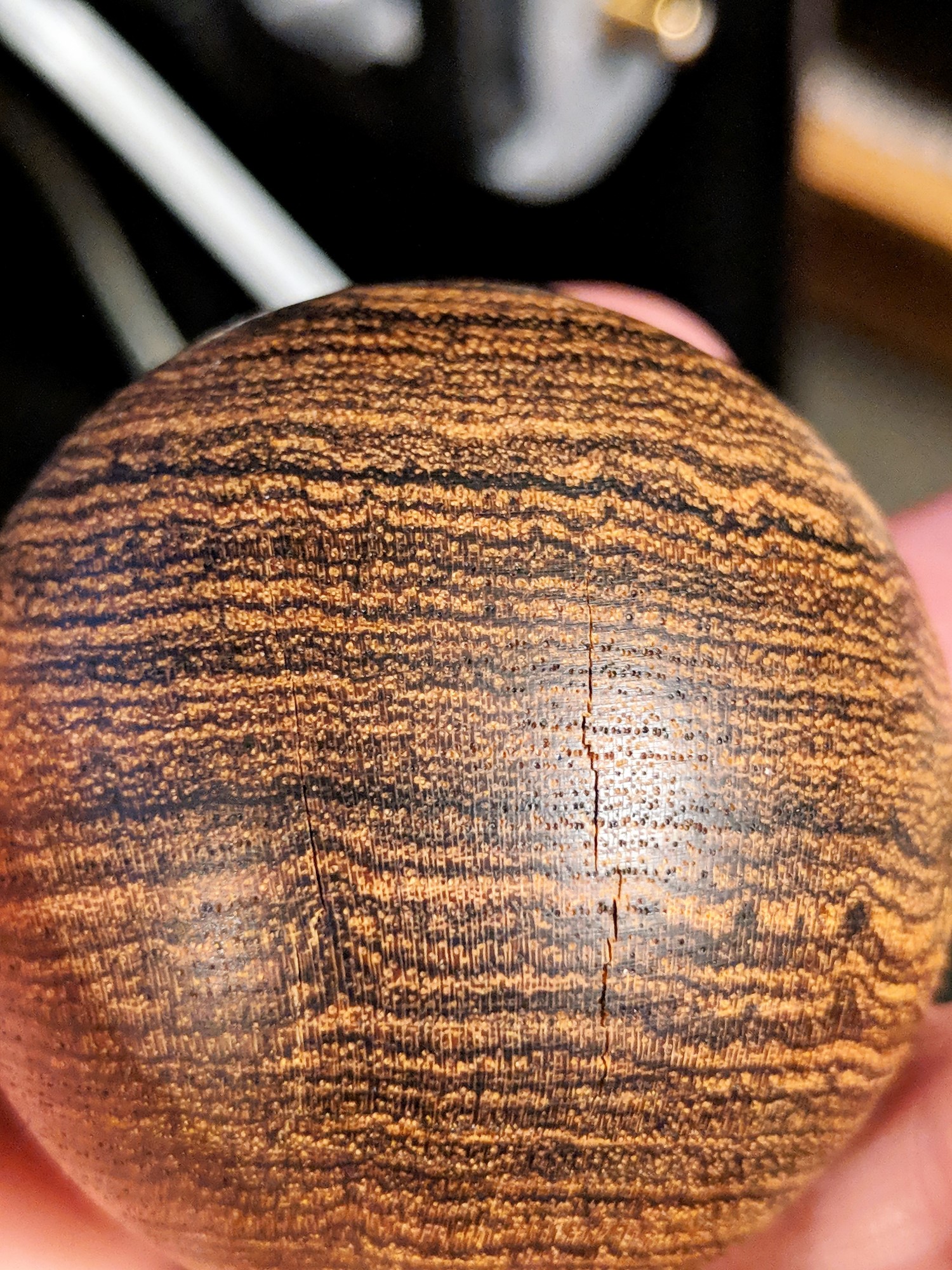 Bocote | The Wood Database - Lumber Identification (Hardwood)