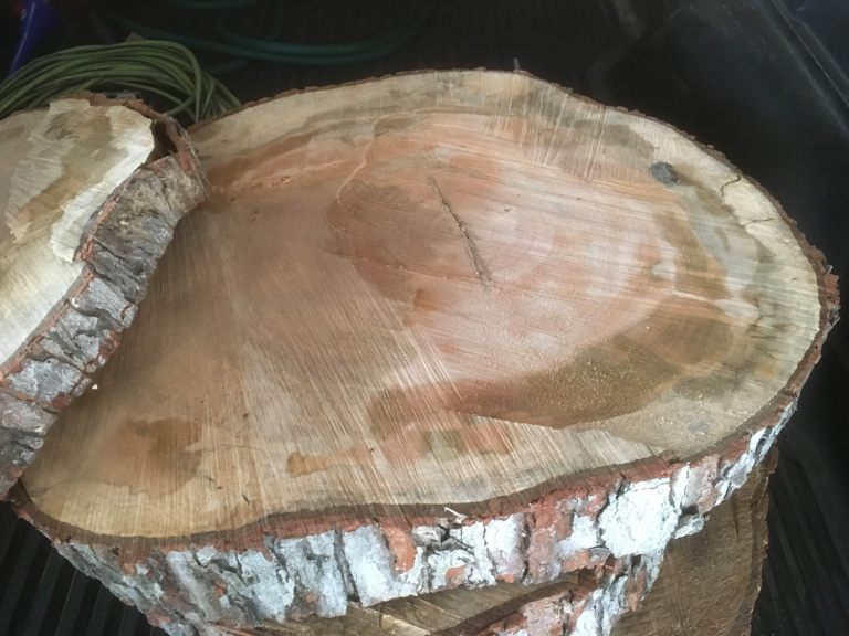 Hardwood Anatomy | The Wood Database