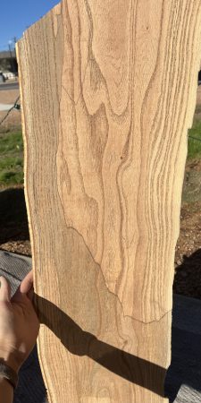 Chinaberry | The Wood Database (Hardwood)