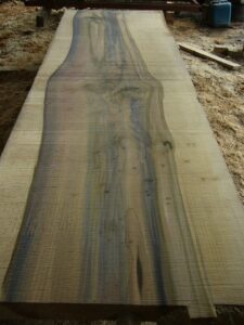 Rainbow Poplar | The Wood Database (Hardwood)