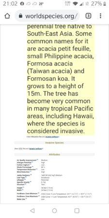 Formosan Koa | The Wood Database (Hardwood)