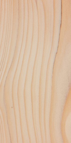 European Silver Fir | The Wood Database (Softwood)