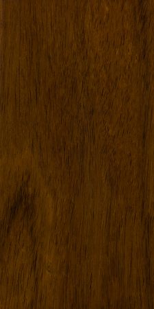 Brown Salwood | The Wood Database (Hardwood)