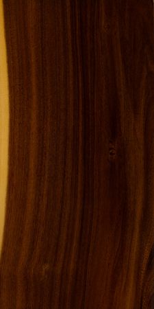 Bendee | The Wood Database (Hardwood)