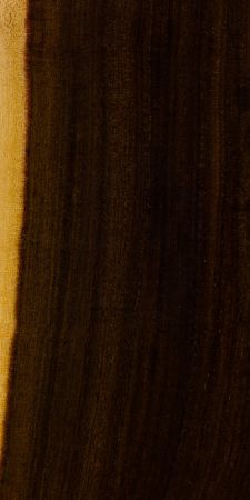 Waddywood | The Wood Database (Hardwood)