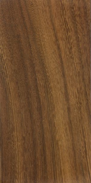 River Cooba | The Wood Database (Hardwood)