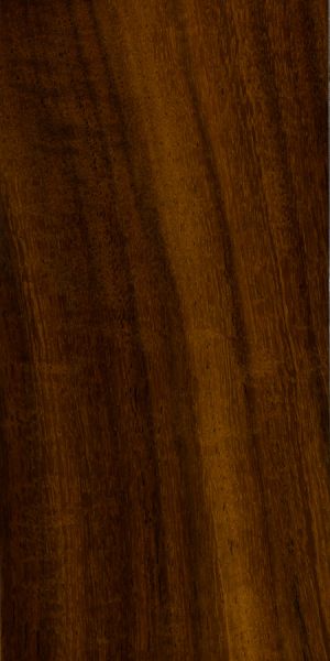 River Cooba | The Wood Database (Hardwood)