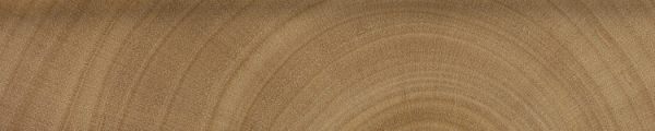 Black maple | The Wood Database (Hardwood)