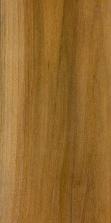 Soft Maple | The Wood Database (Hardwood)