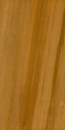 Silver maple | The Wood Database (Hardwood)