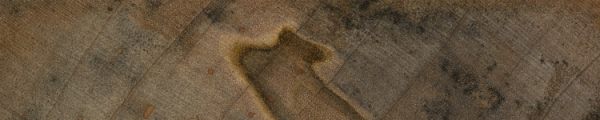 Spalted Maple | The Wood Database (Hardwood)