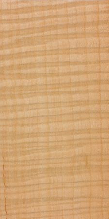 Curly maple | The Wood Database (Hardwood)