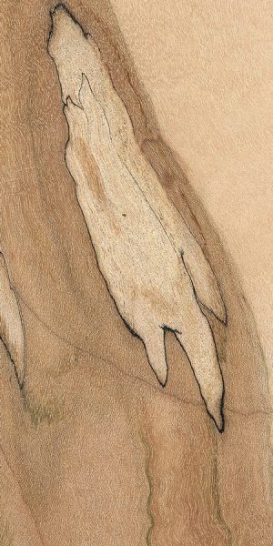 Spalted Maple | The Wood Database (Hardwood)