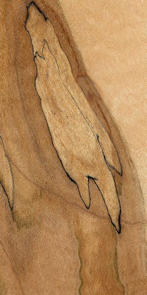 Spalted Maple | The Wood Database (Hardwood)