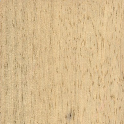 Limba | The Wood Database (Hardwood)