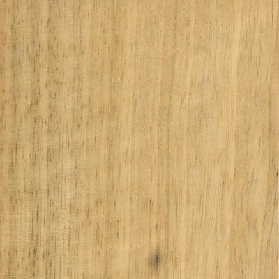 Limba | The Wood Database (Hardwood)