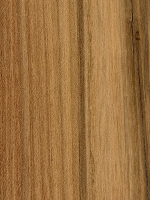 Afata | The Wood Database - Lumber Identification (Hardwood)