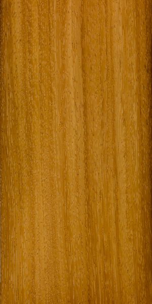 Chanfuta | The Wood Database (Hardwood)