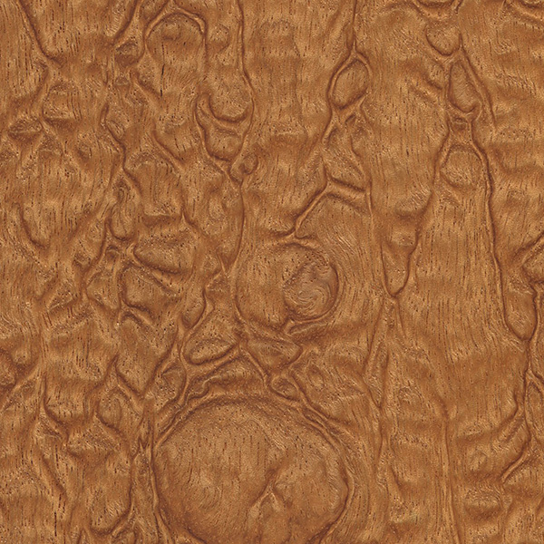 Afzelia | The Wood Database - Lumber Identification (Hardwood)