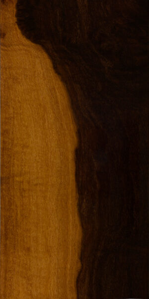 Boonaree | The Wood Database (Hardwood)