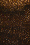 Boonaree | The Wood Database - Lumber Identification (Hardwood)