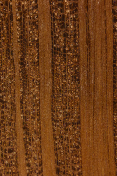 Rock Sheoak | The Wood Database (Hardwood)