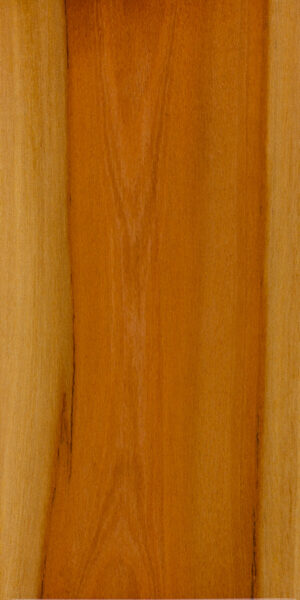 Red Ash | The Wood Database (Hardwood)